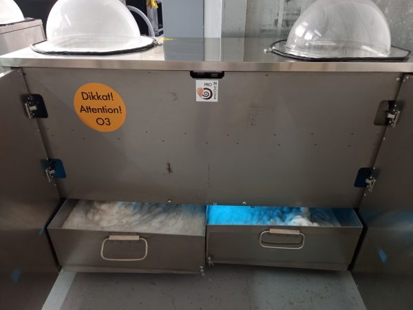 Snail mucus extractor, equipment for the extraction of snail mucus