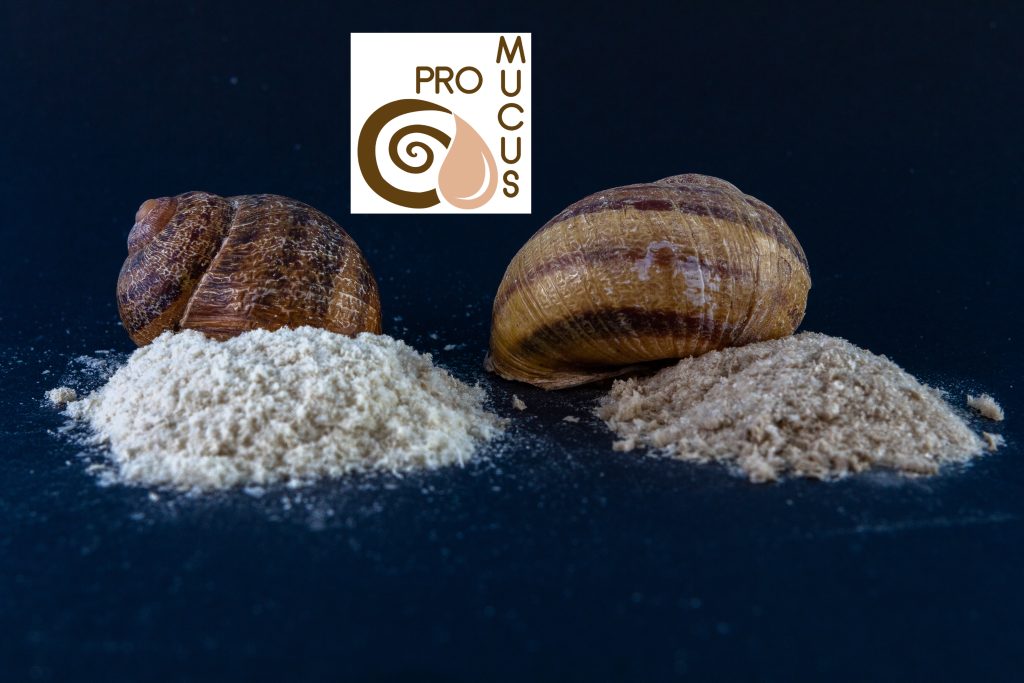 Natural snail mucus without additives of the Mucus pro class